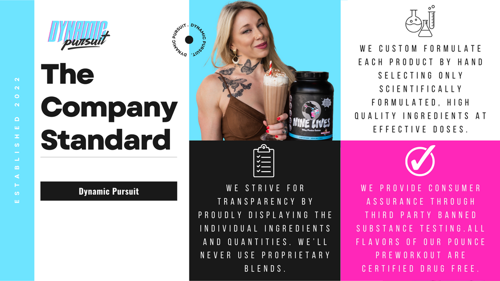 Supplements – Dynamic Pursuit